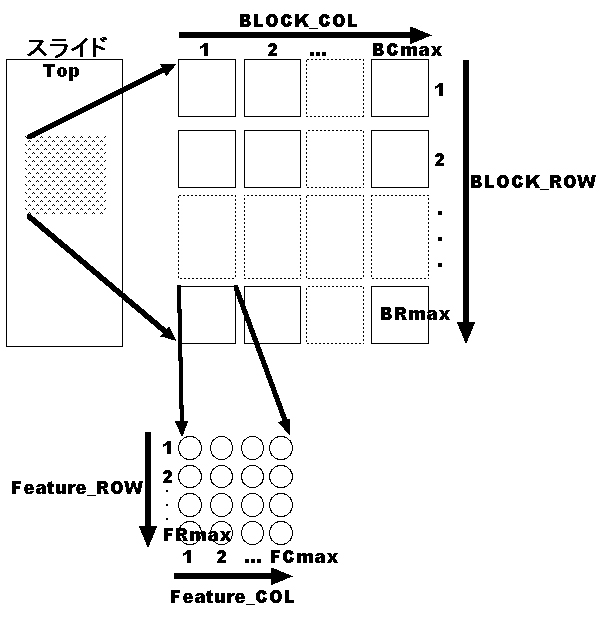アレイリストコンバータ(GenePix用) その4